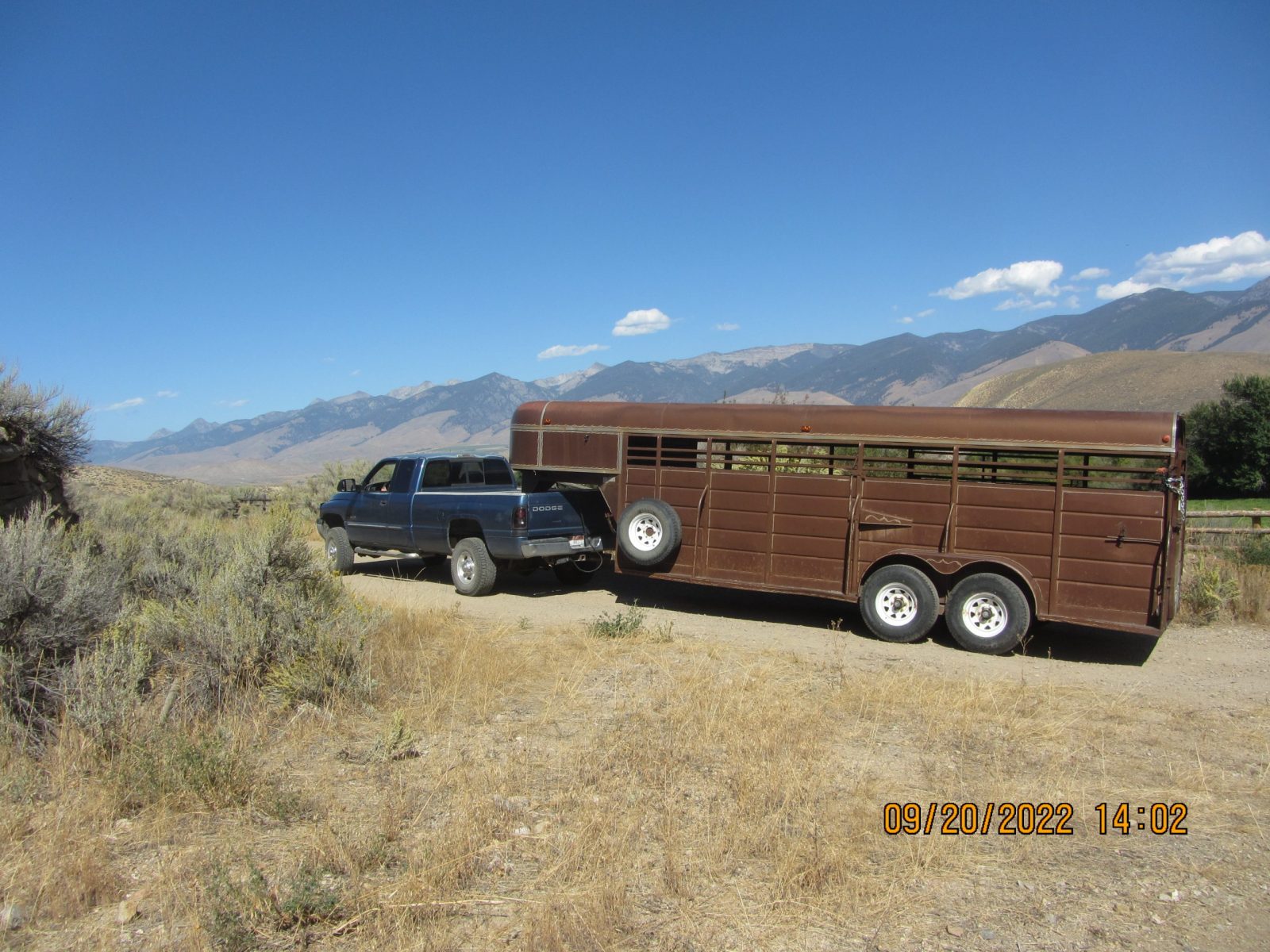 Pulling a Stock Trailer - Countryside
